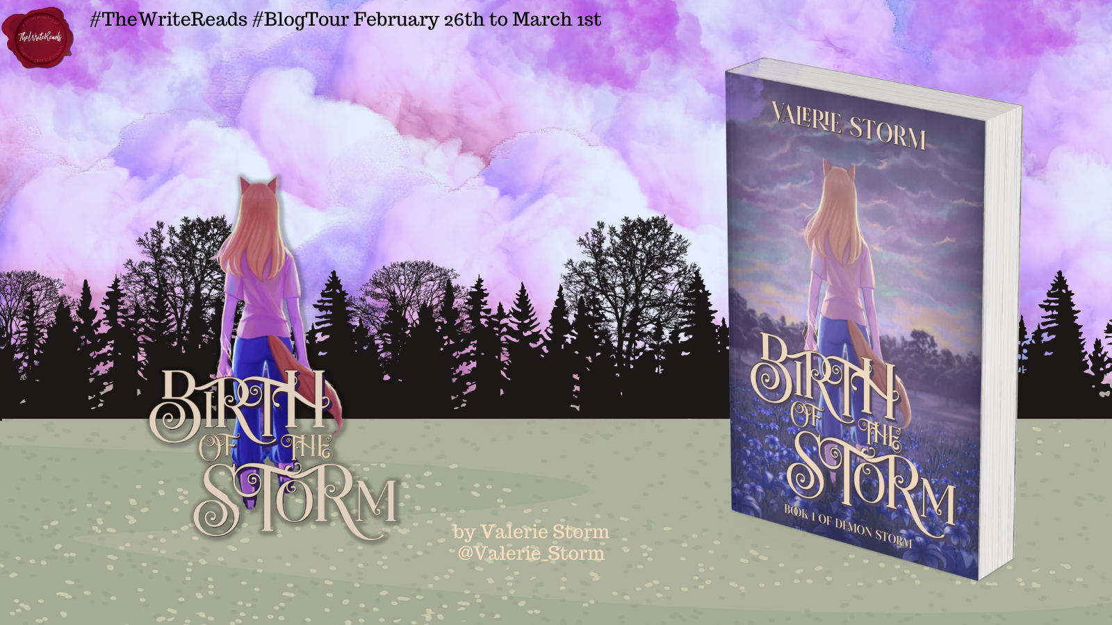 Book Review: Birth of the Storm by Valerie Storm #TheWriteReads # ...